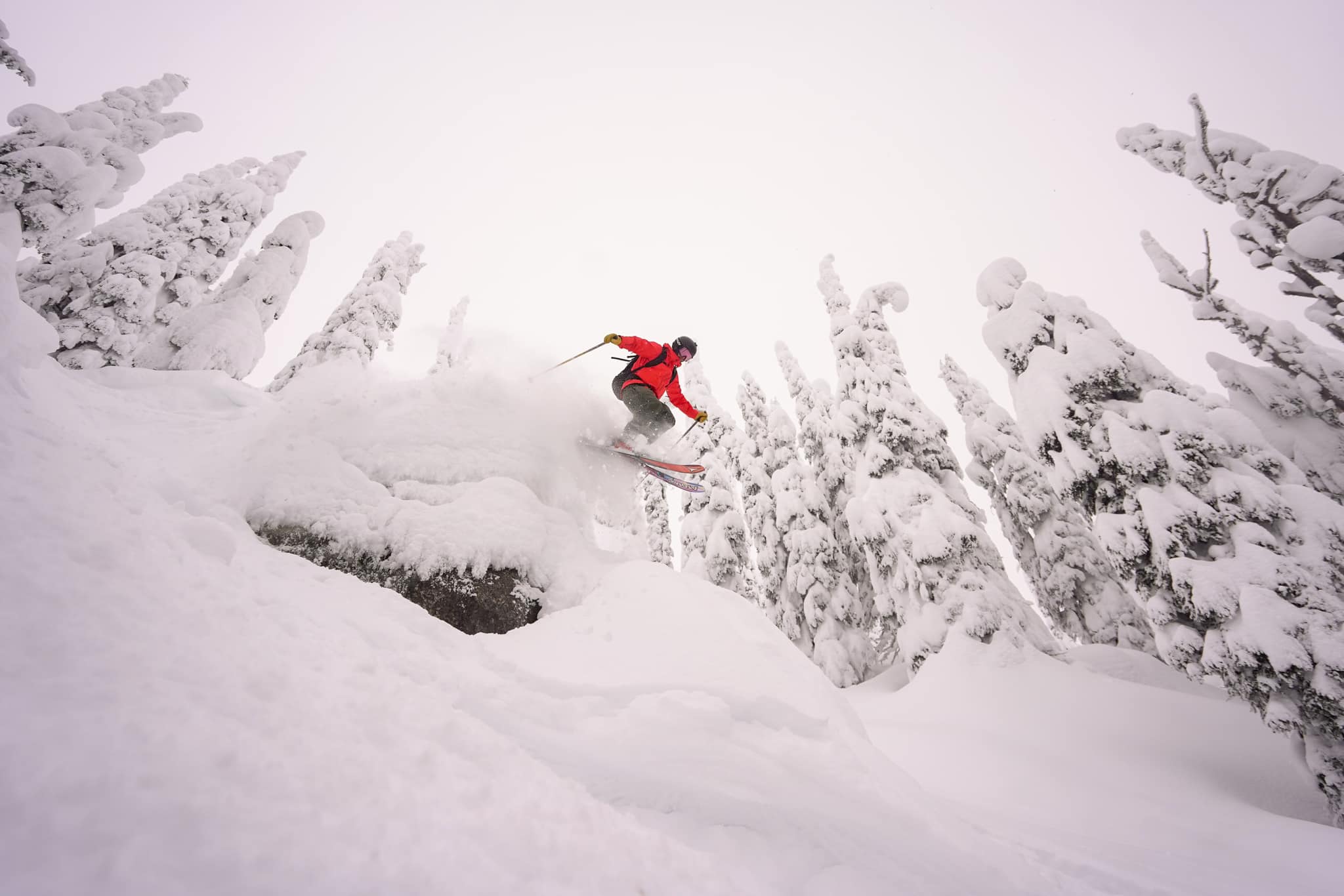 2025 Fernie Trails & Ski Touring Bursary Recipients - Fernietrails.com