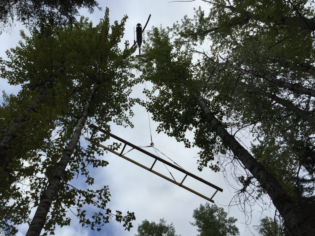 Lazy Lizard Connector - Bridge Completed - Fernietrails.com