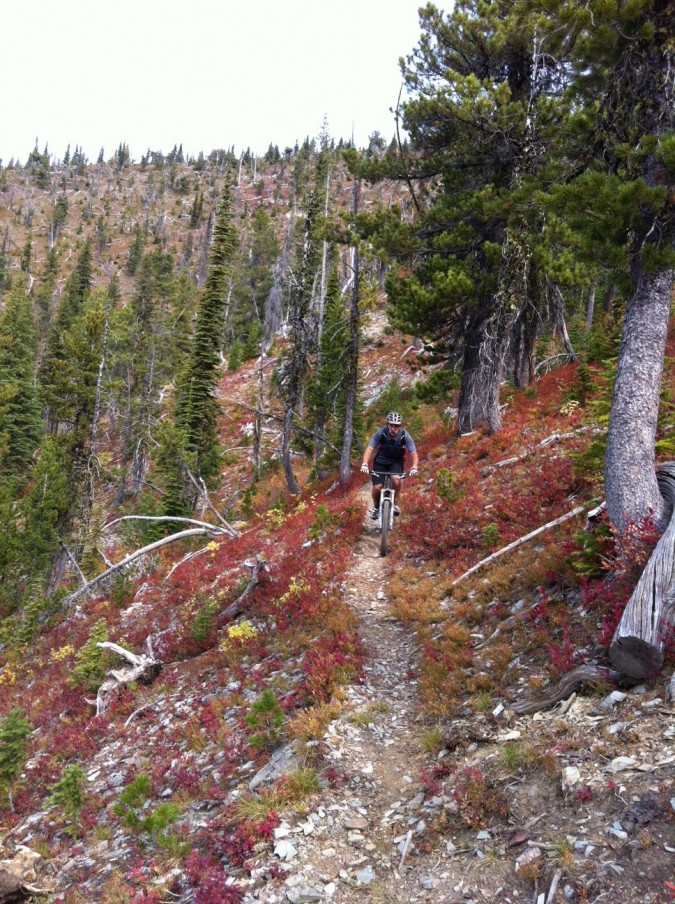 Horseshoe Basin Ride - Fernietrails.com
