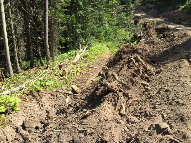 Coal Discovery Trail - logging activity this summer - Fernietrails.com